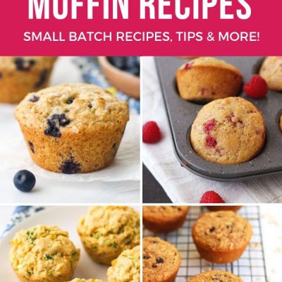 Toaster Oven Recipes: 100 Satisfying Dinners, Snacks, Veggies and More!