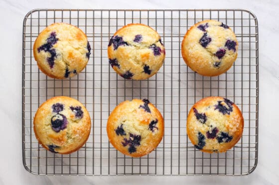 Toaster Oven Blueberry Muffins (Small Batch Recipe)