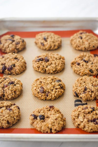 Toaster Oven Oatmeal Cookies (Easy Small Batch Recipe)